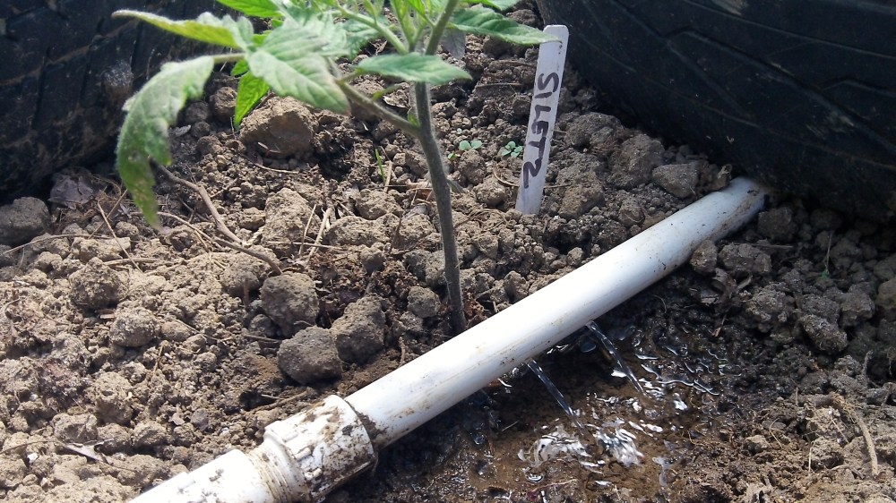 Drip watering | Adventures in Natural Beekeeping