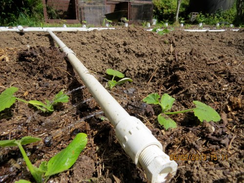 pvc water grid in raised beds | Adventures in Natural Beekeeping