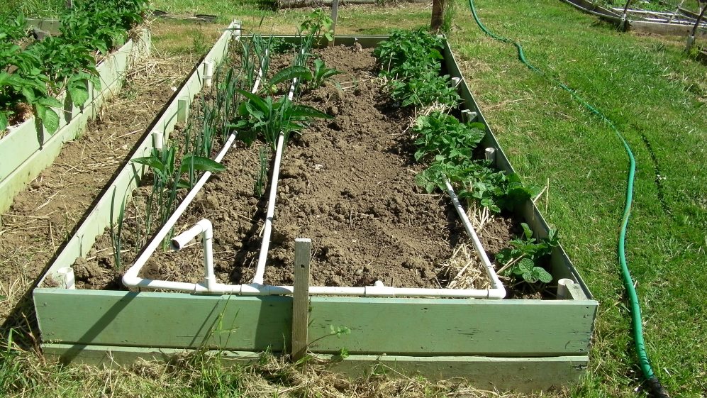 pvc water grid in raised beds | Adventures in Natural Beekeeping