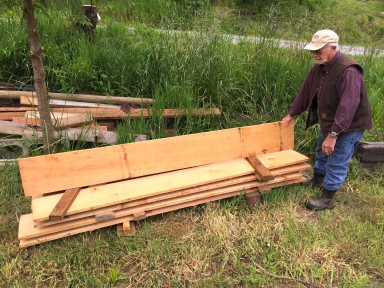 log hive | Adventures in Natural Beekeeping