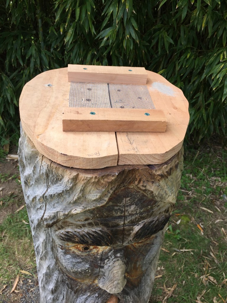 Bee Beard Log Hive Gets a New Hat | Adventures in Natural Beekeeping