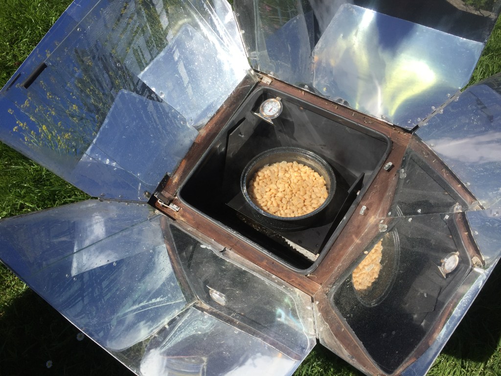 bumblebees | Adventures in Natural Beekeeping